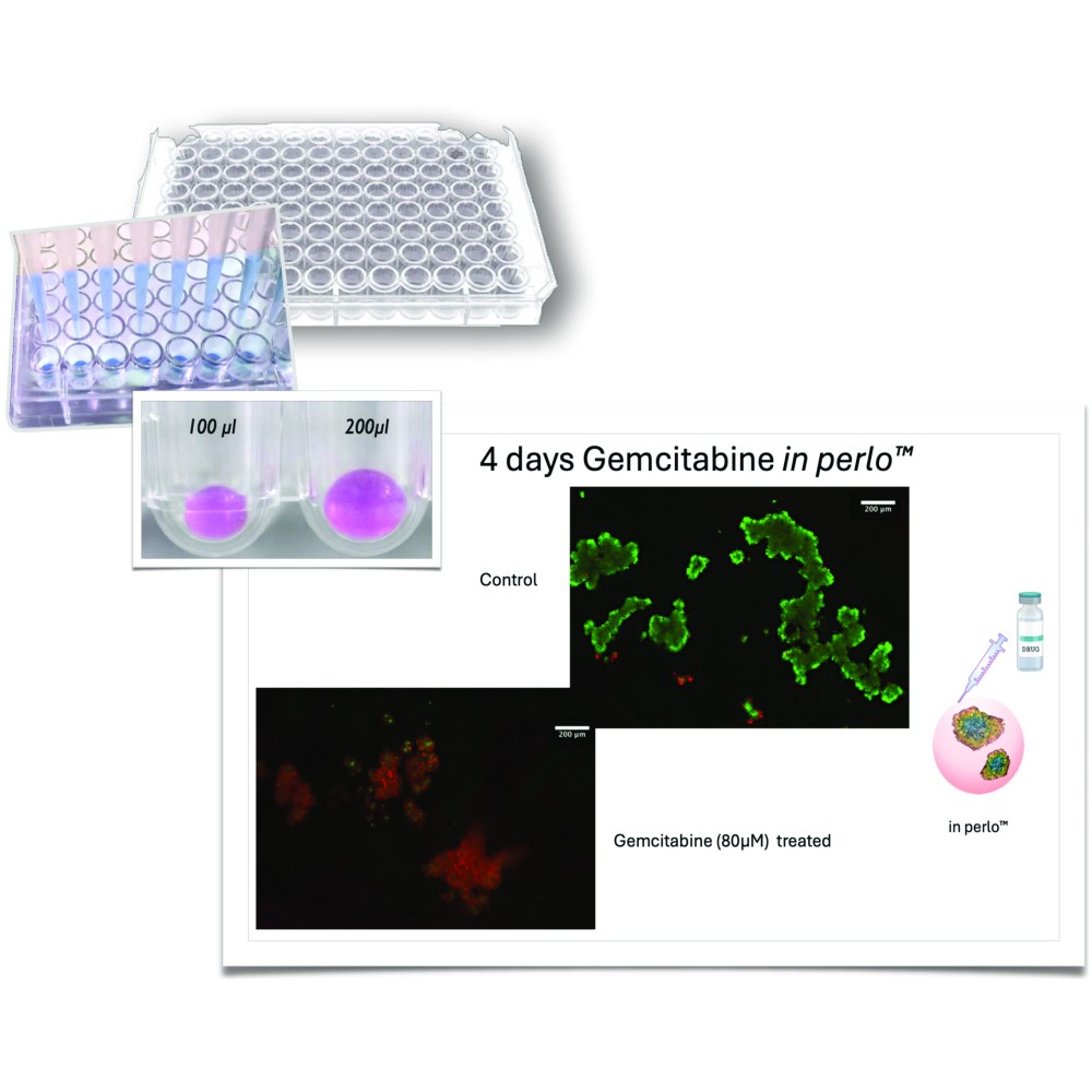 Universal 3D cell culture in perlo™ Plate